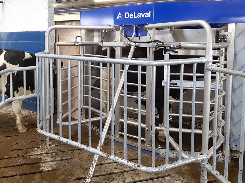 VMS LEADS THE WAY FOR NEW LACKHAM DAIRY COURSE - T H WHITE Dairy