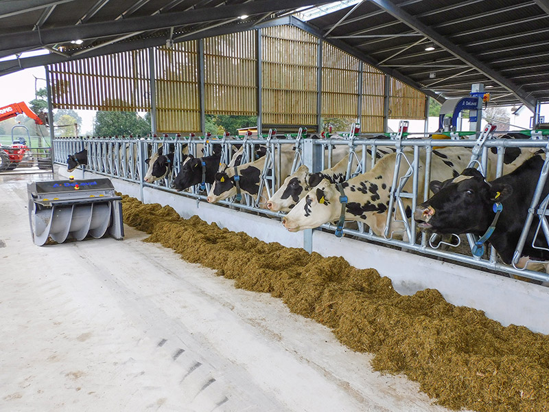 LACKHAM DAIRY EDUCATION UNIT NEARS COMPLETION - T H WHITE Dairy