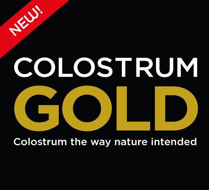 Nettex sets the Gold standard for Colostrum - T H WHITE Dairy