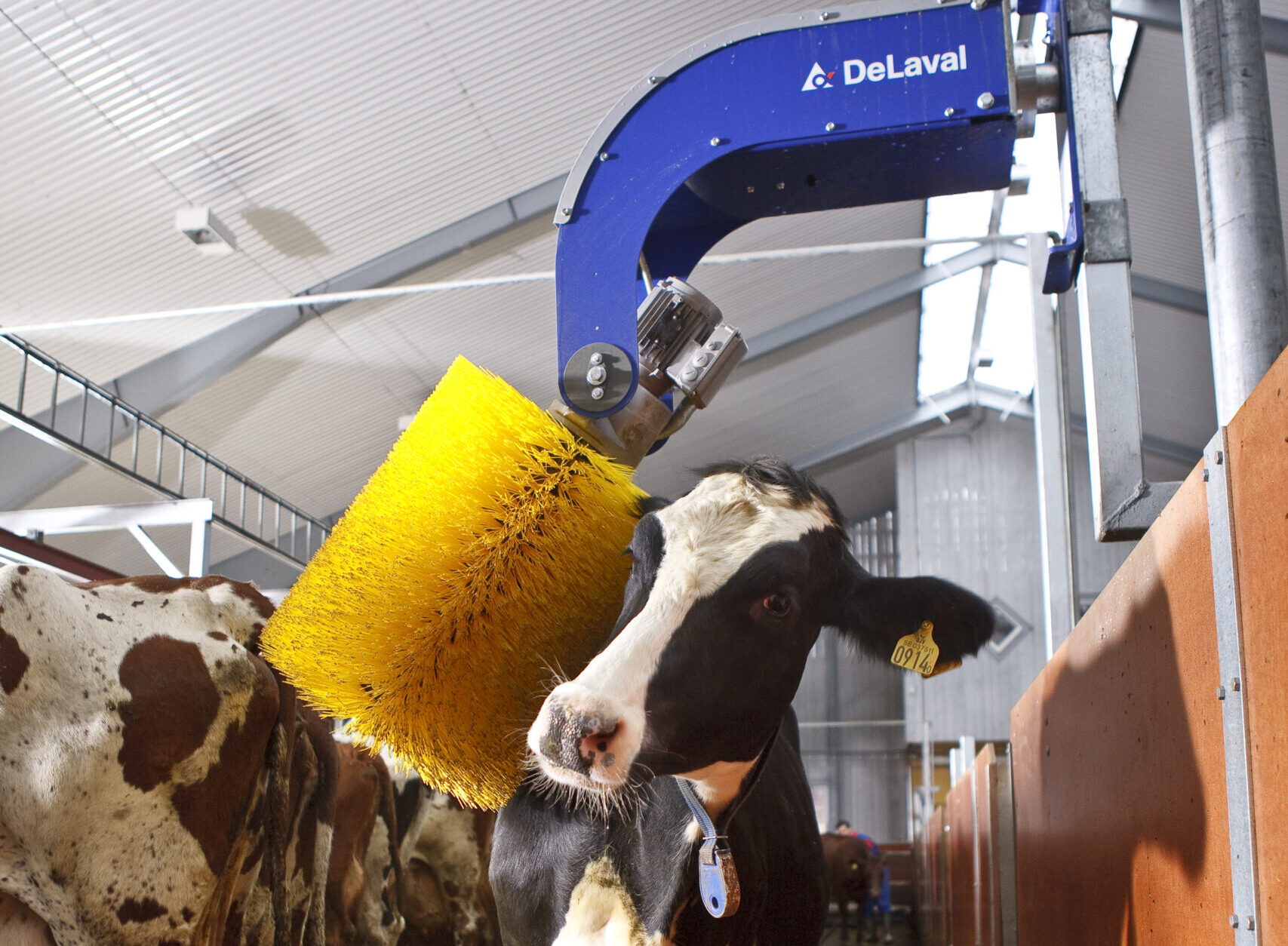 FETF Grant – Cow Brushes - T H WHITE Dairy